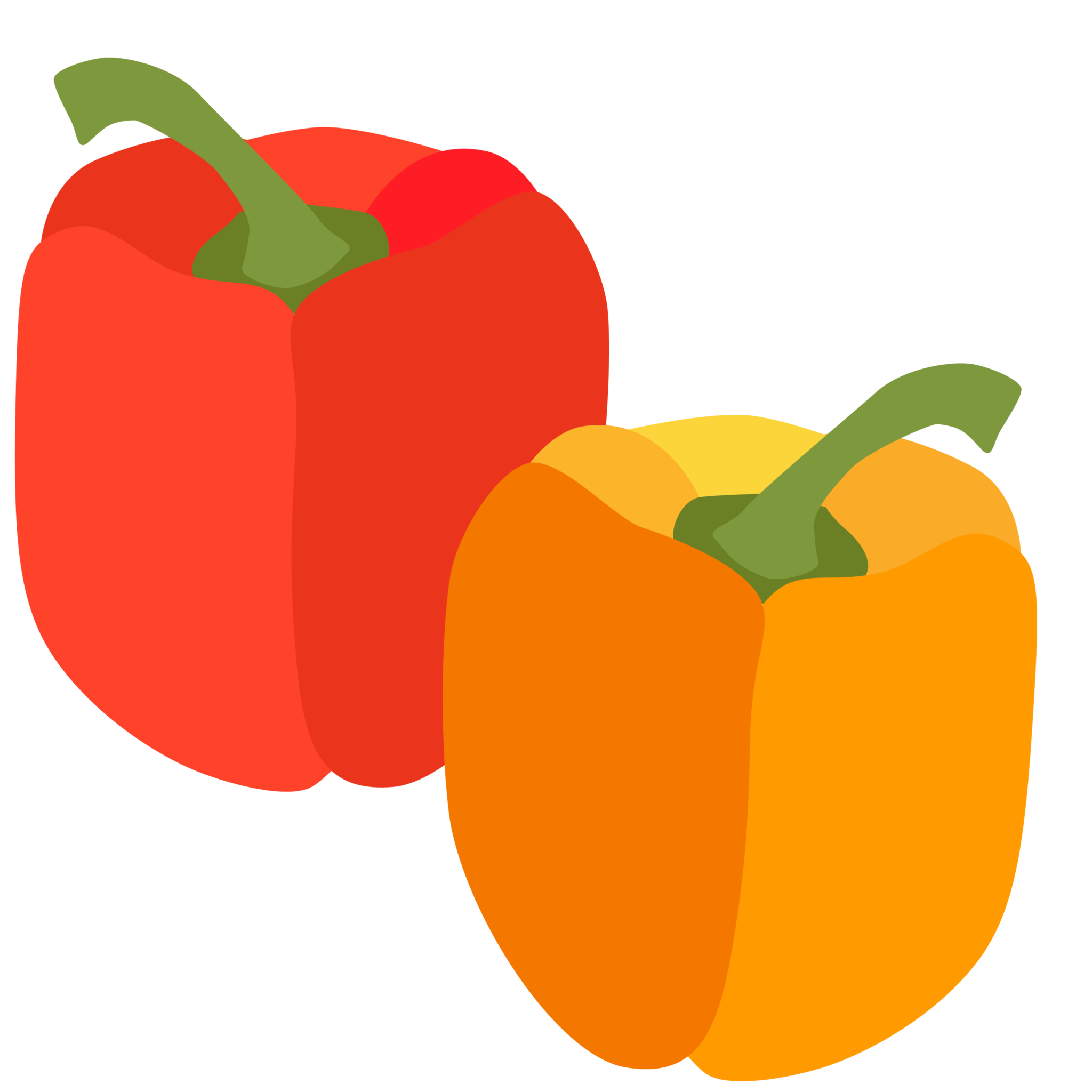 Pregnancy 101 | Foods To Eat When Pregnant